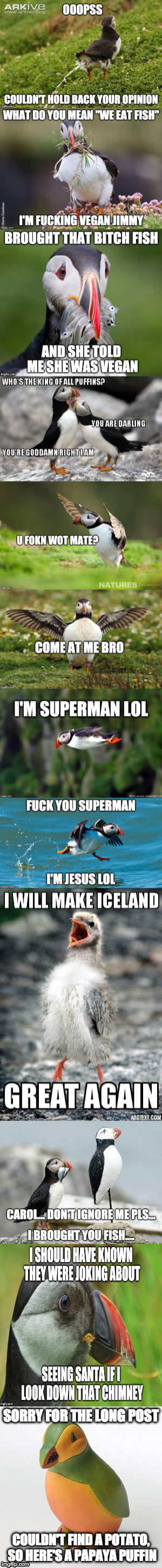 Puffin meme collage I made a while back - 9GAG