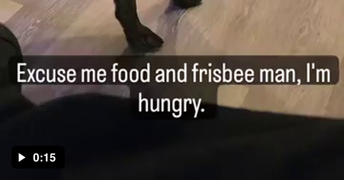 Feed me frisbee man. - 9GAG