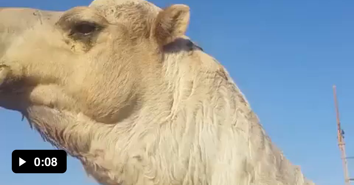 Don't mind me, just cooling me down - 9GAG