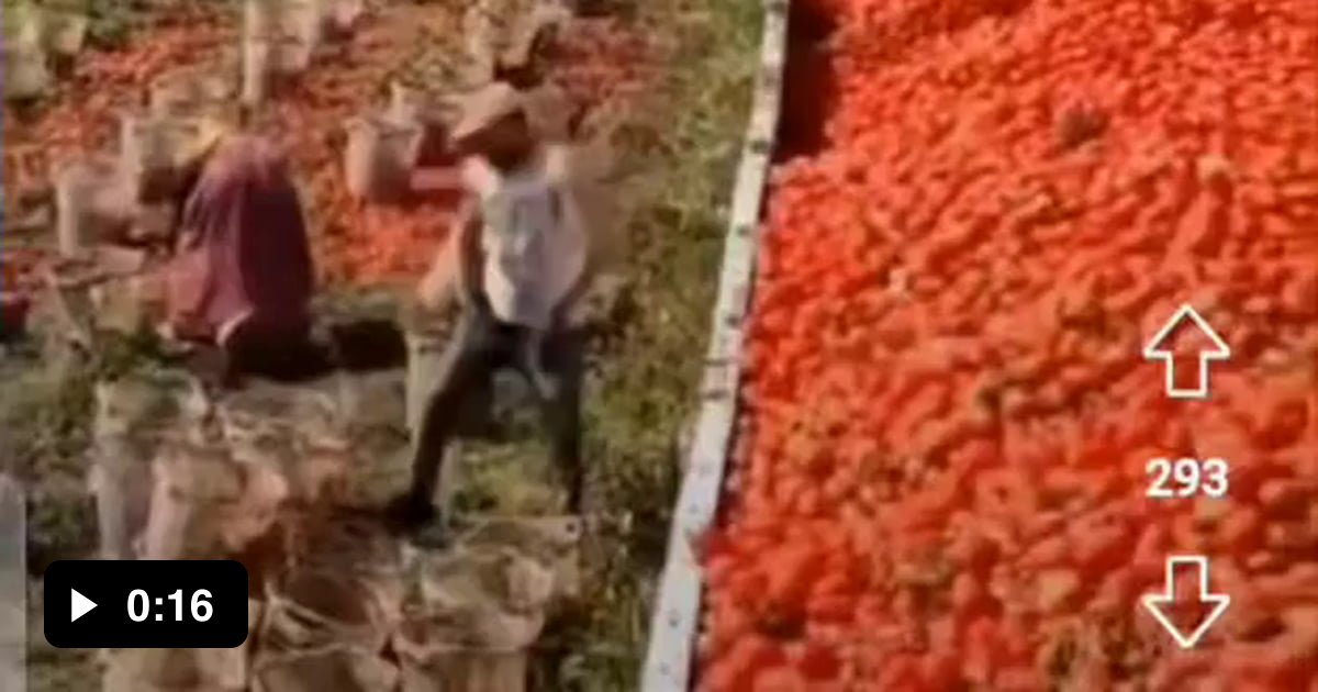 Perfectly tossed apples - 9GAG