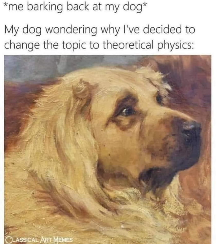 I prefer to discuss philosophy with my dog - 9GAG