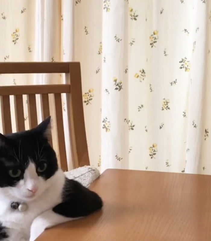 "I'm going to do so much fun shit this weekend..." ...Aaand it's ...