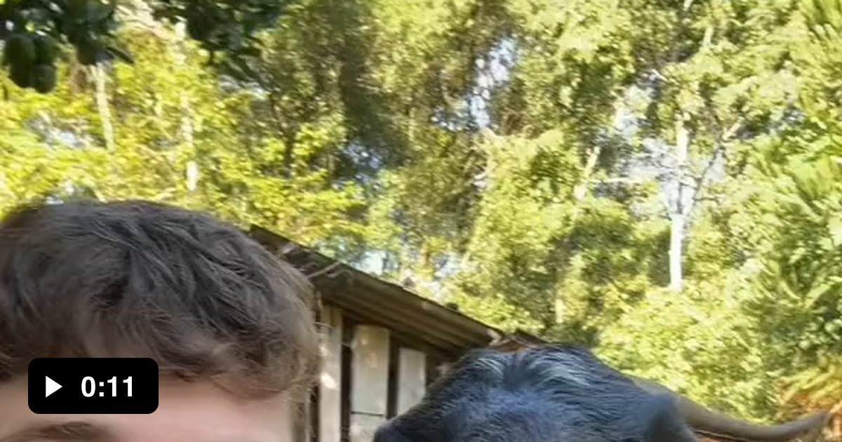 Like master like goat - 9GAG