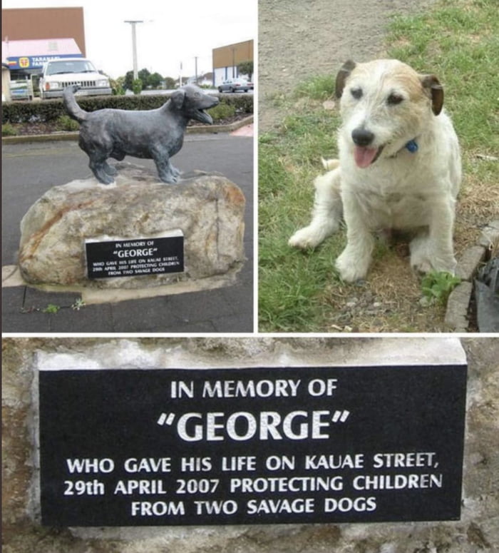 A statue in memory of a dog named George that died on Kauae Street in ...