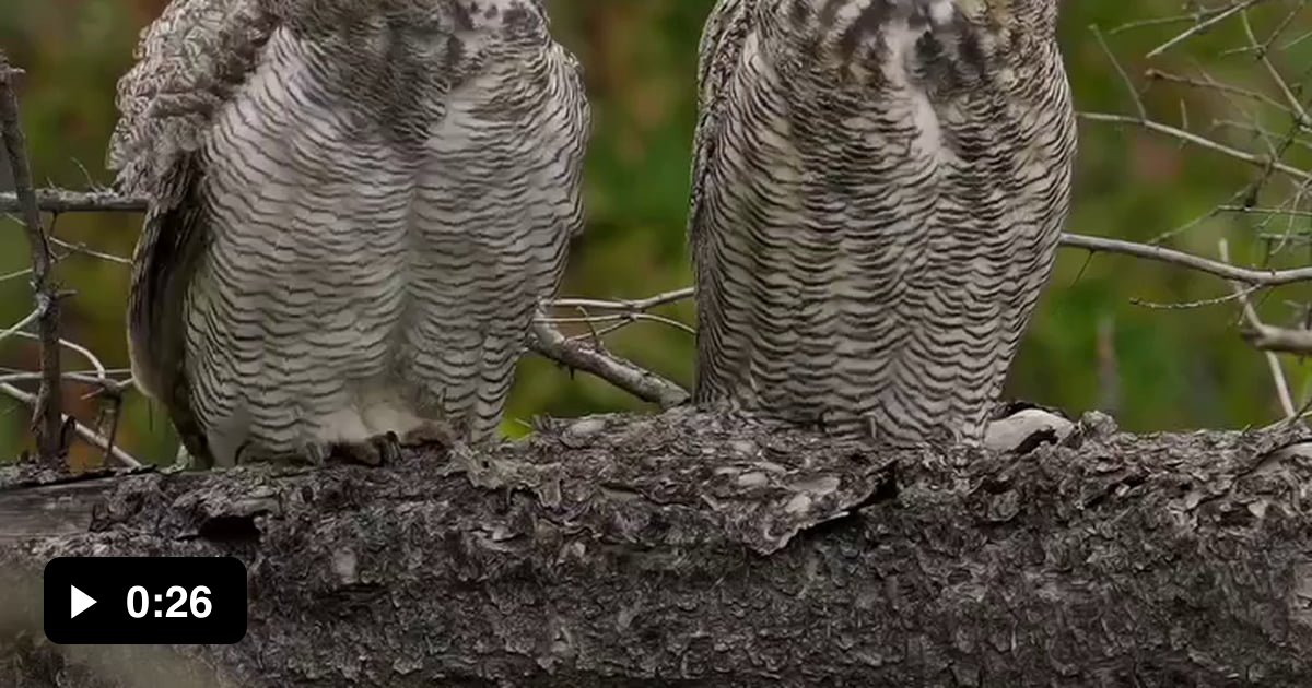 Lovely interaction - 9GAG