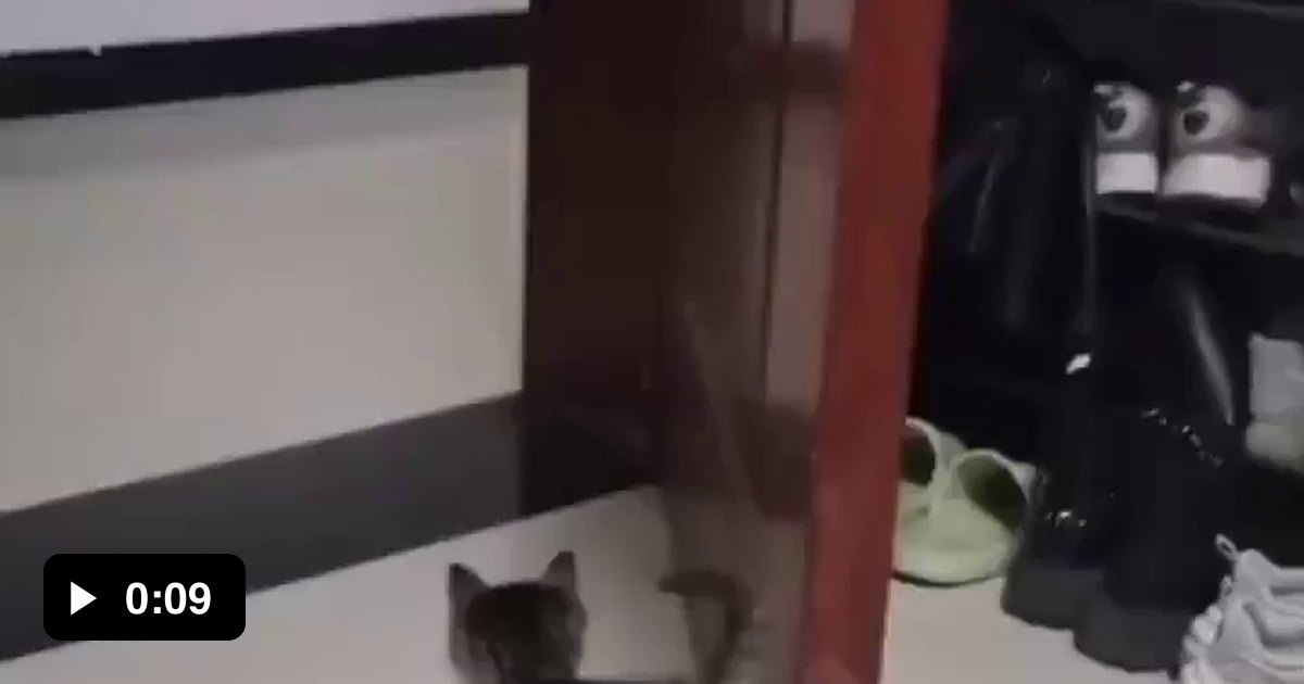 A derpy sneak & strike - 9GAG