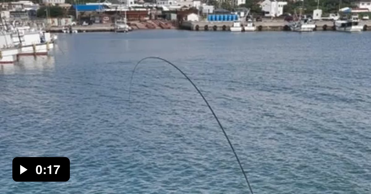 Fresh fish for the little guy - 9GAG