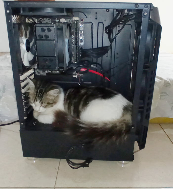 Installing this new RTX Kitty - 9GAG