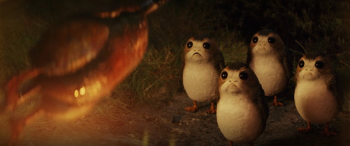 So did the porgs watch Chewie kill, pluck, butcher, and cook two of ...