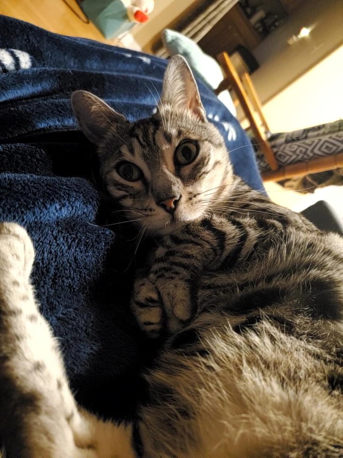 Egregious Cutes - 9GAG