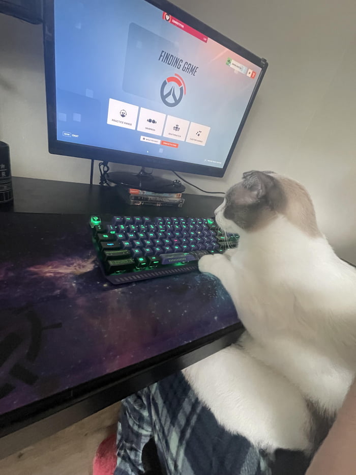 Rocket; professional gamer - 9GAG