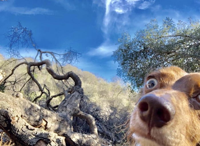 When you forget to flip the camera - 9GAG