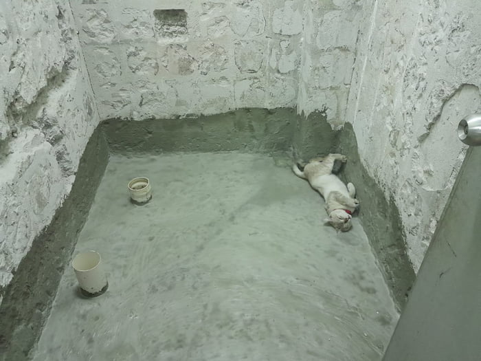 Construction worker slacking off - 9GAG