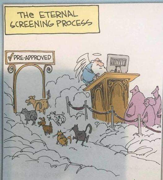 Rest in peace ️ - 9GAG