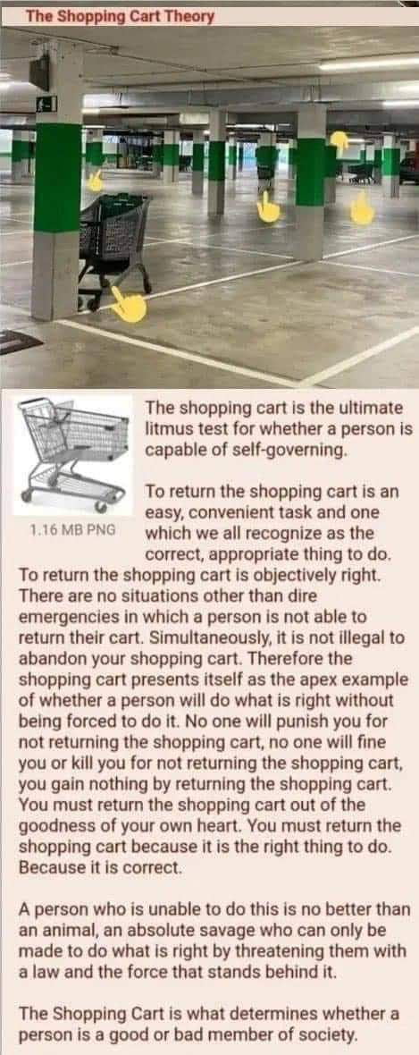 Do You Agree With The Shopping Cart Theory 9gag