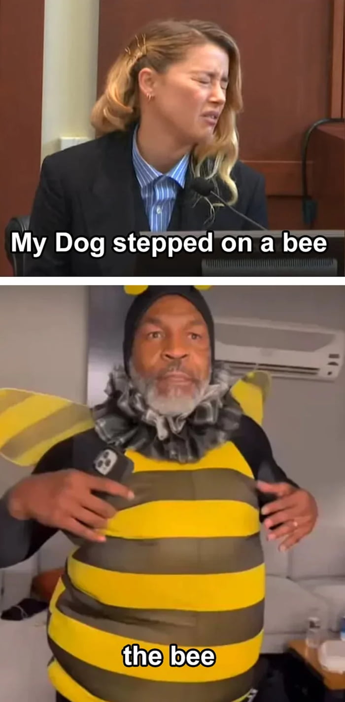 The bee is dangourousoruso - 9GAG