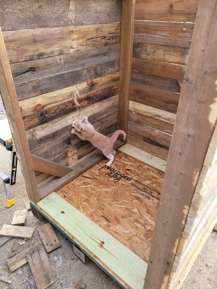 Construction Inspector - 9GAG