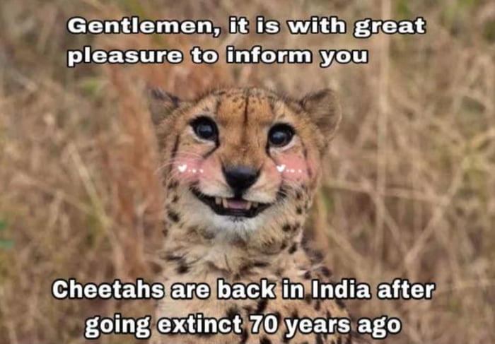 With great pleasure! - 9GAG