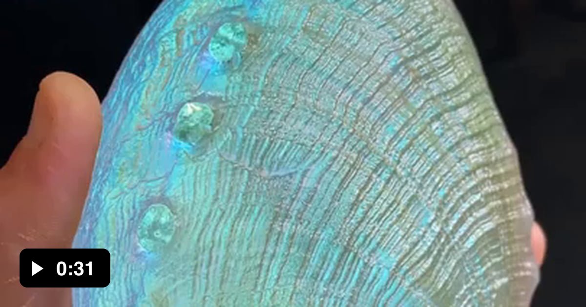 Glass Art - Aural Abalone Shell - 9GAG
