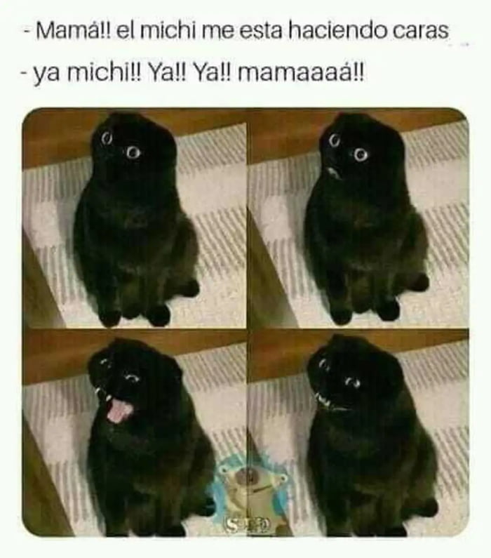 Méndigo michi - 9GAG