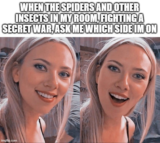 Spiders? - 9GAG