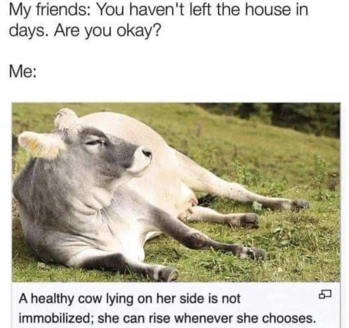 Mooo - 9GAG