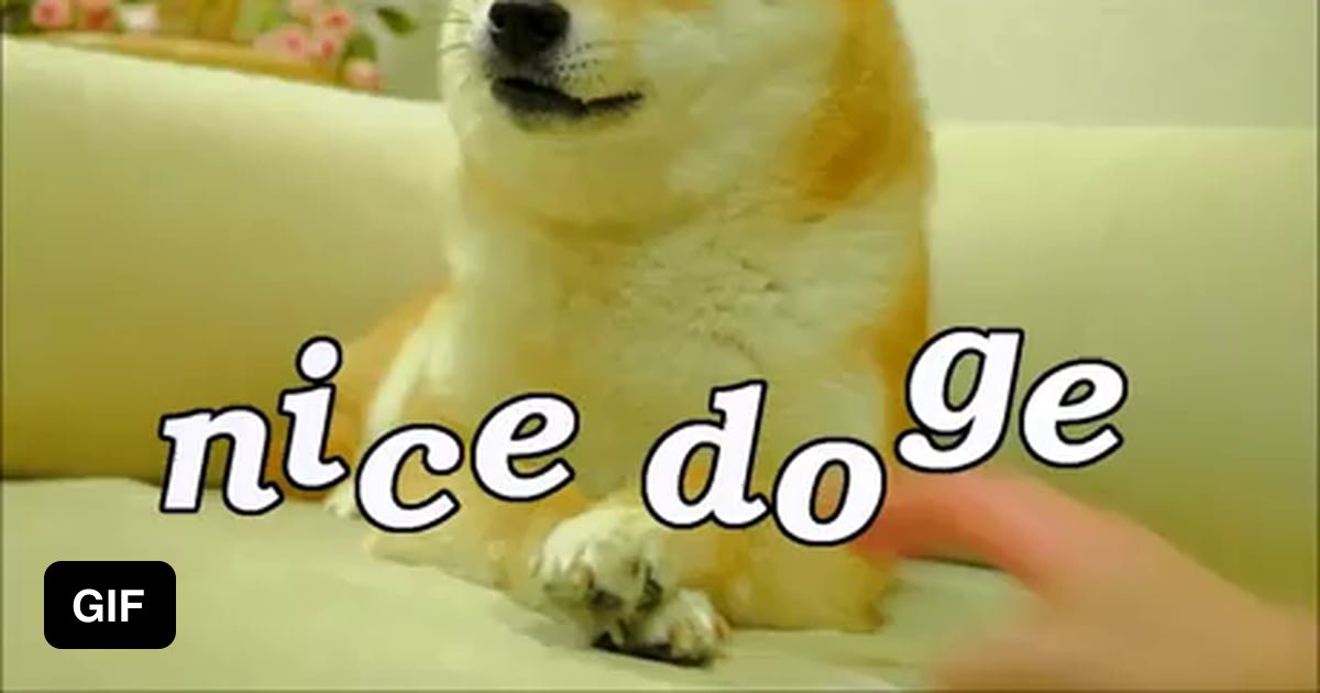 Nice Doge. - 9GAG