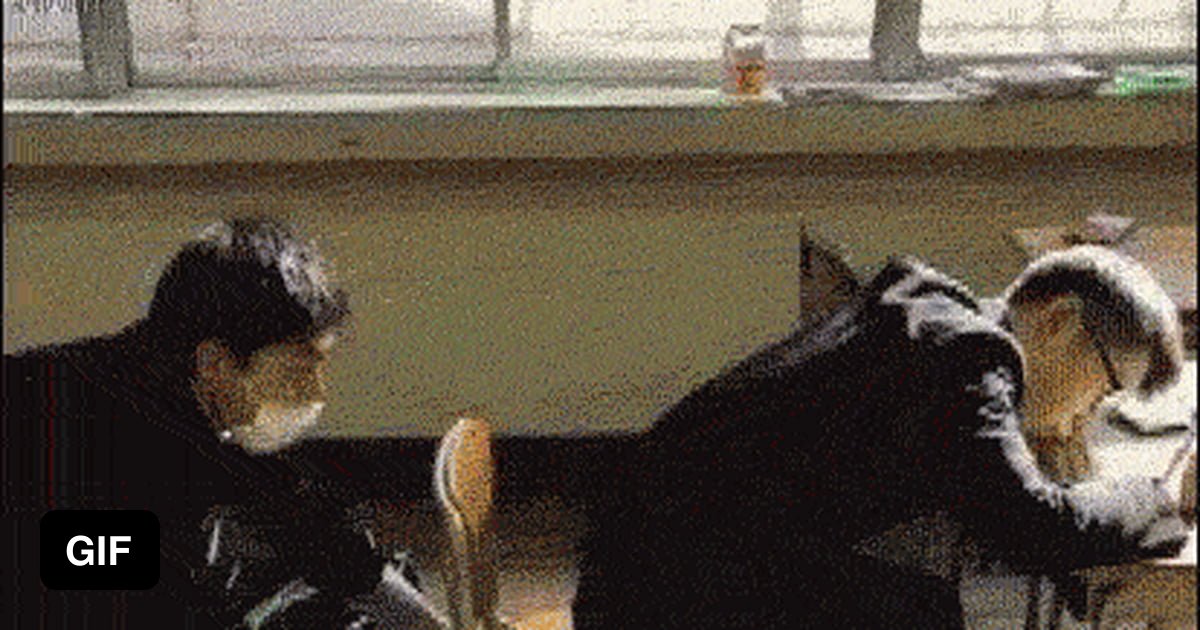 Prank on an Asian boy - 9GAG