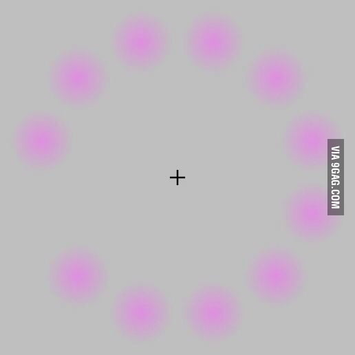 Stare at the plus and the pink dots disappear completely - 9GAG