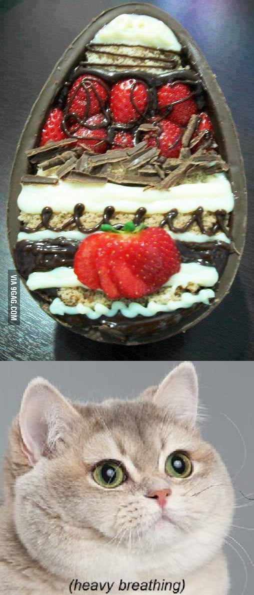 Not Your Average Chocolate Egg - 9GAG