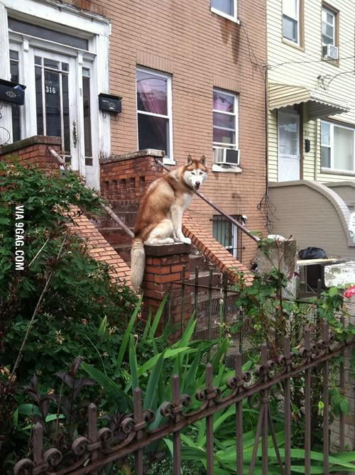 Security System Upgrade - 9GAG
