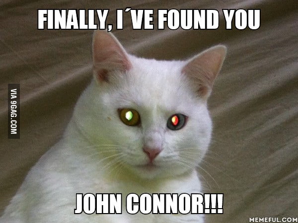 Terminator cat - 9GAG
