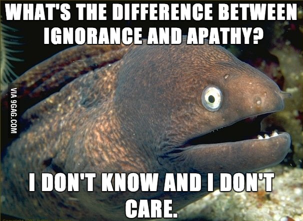 Lame Joke Eel Ignorance And Apathy 9GAG lame-joke-eel-ignorance-and-apathy-9gag