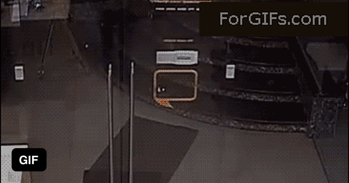 Dramatic entrance! - 9GAG