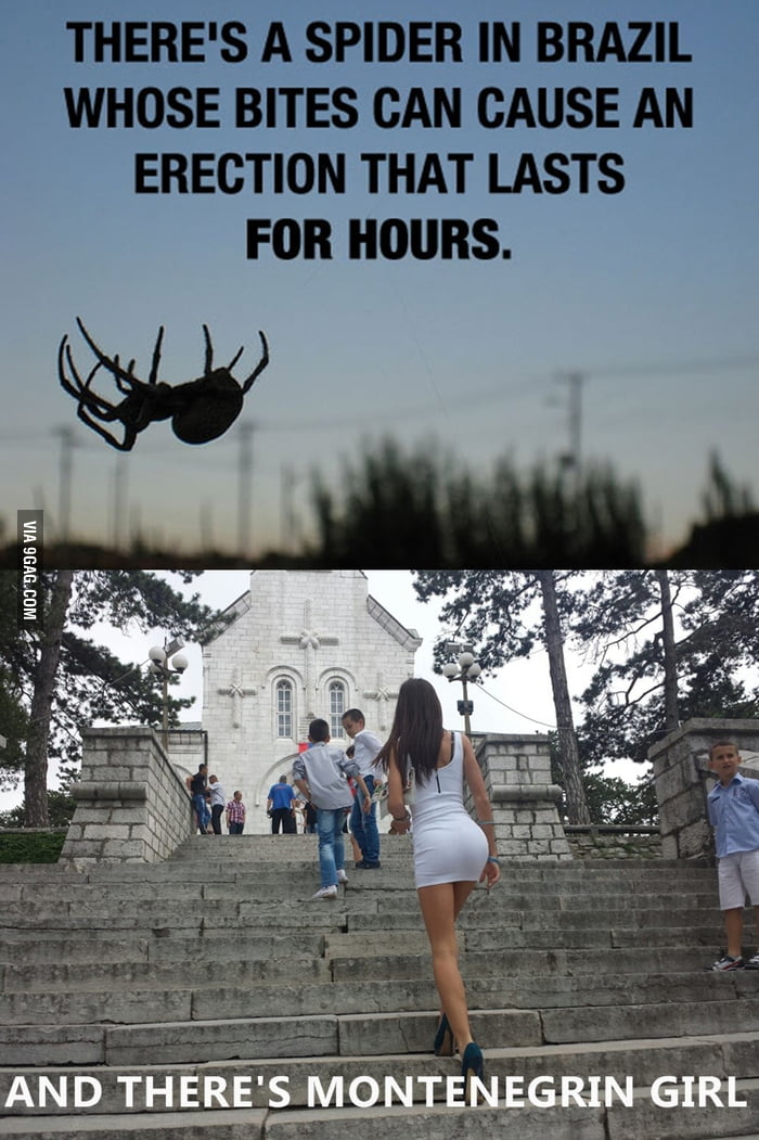 Spider fail - 9GAG