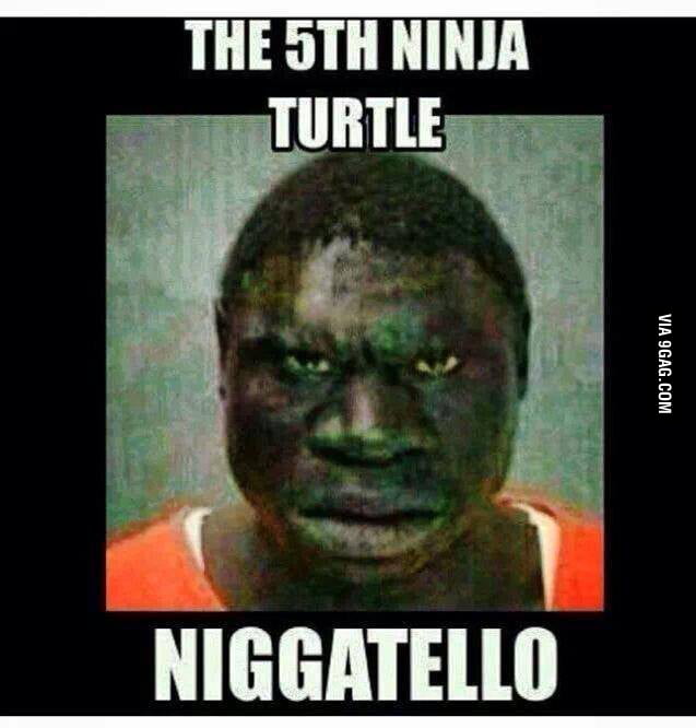 The 5th Ninja Turtle or N*gga Turtle? - 9GAG