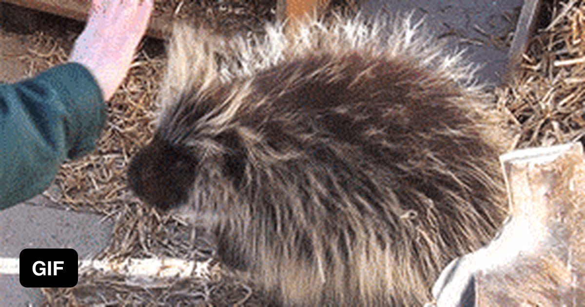 High five buddy. - 9GAG