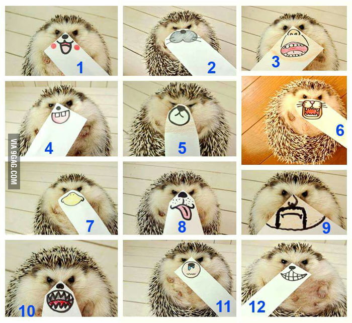 What is your mood? - 9GAG