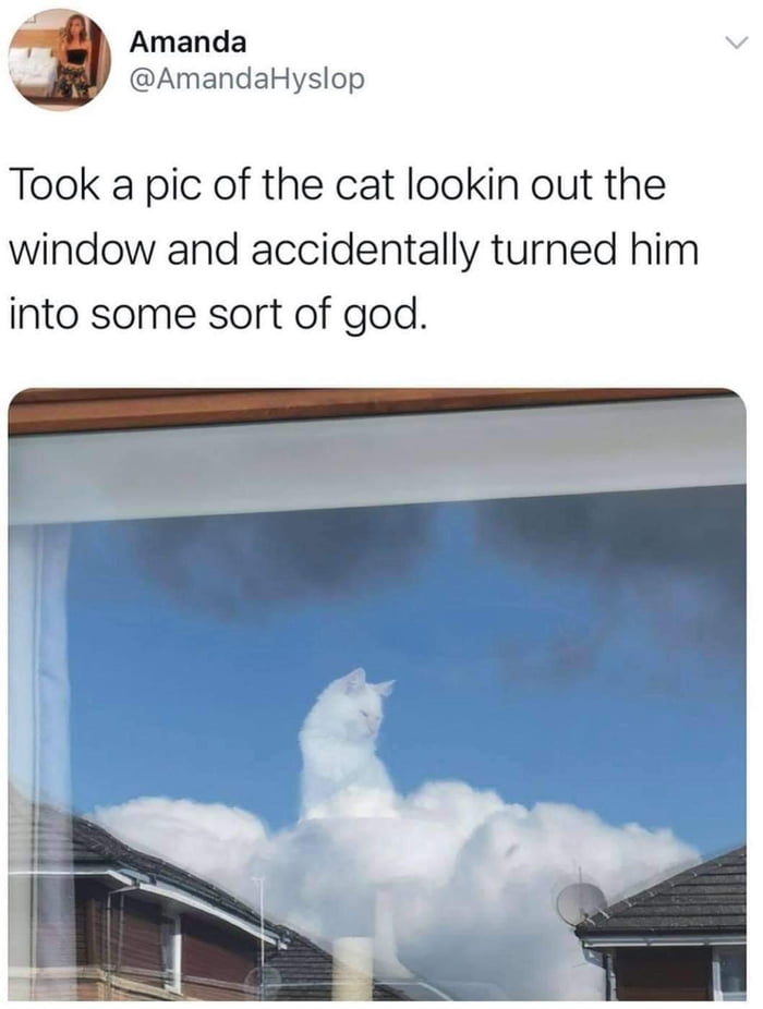 Maow,of the mist - 9GAG