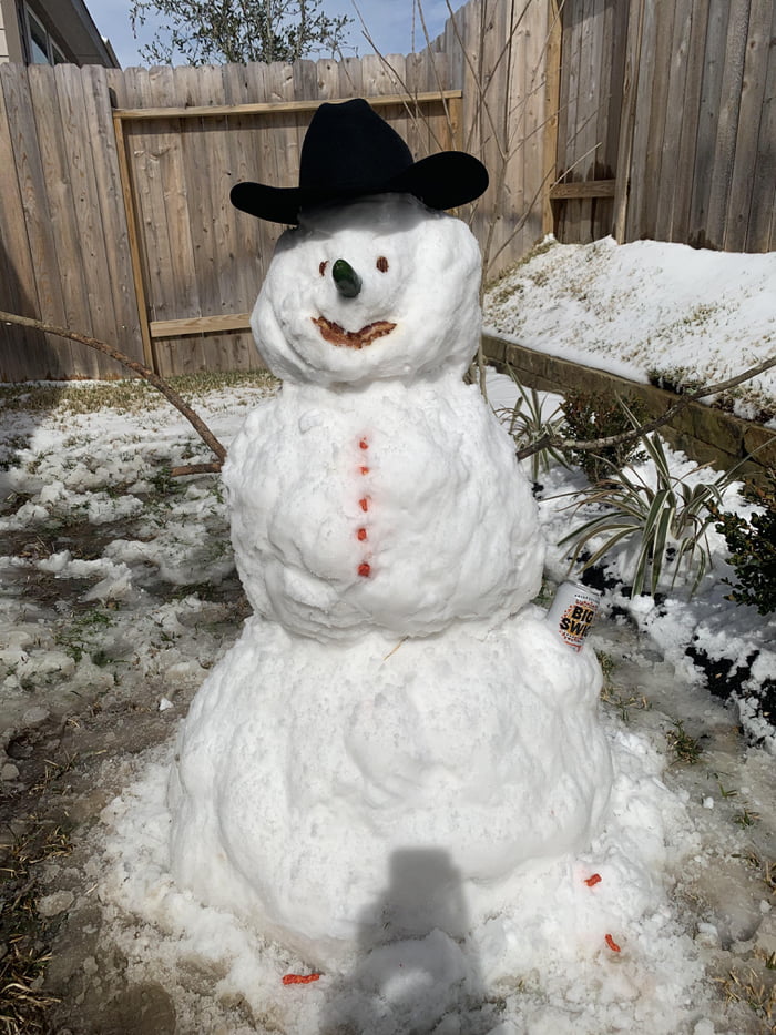 Made a Texas Snowman - 9GAG
