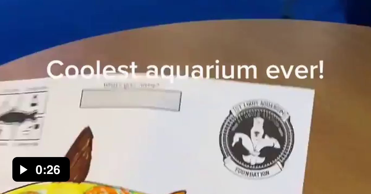 This aquarium allows kids to see the fish they drew inside it. - 9GAG