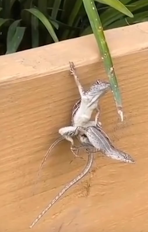 Core strength - 9GAG