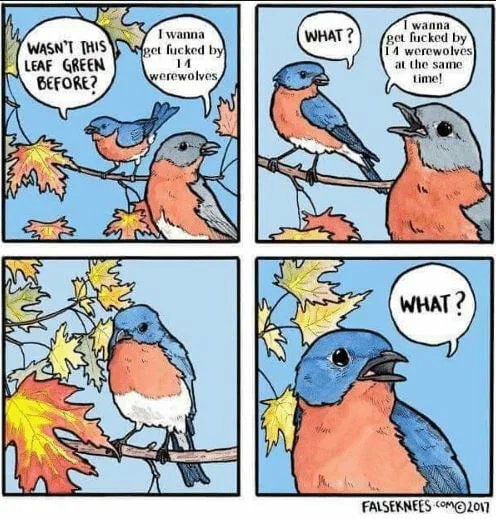 14 werewolves - 9GAG