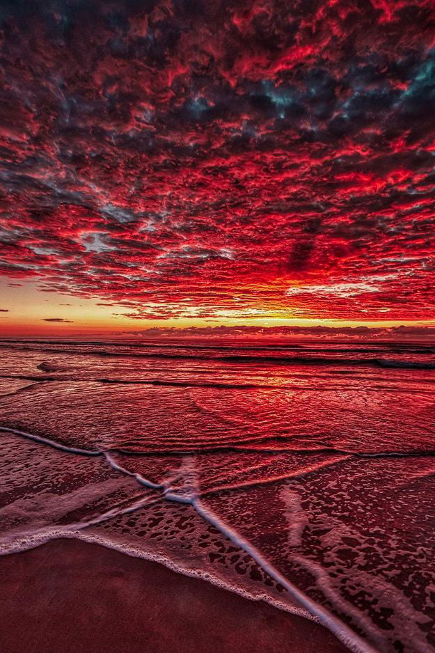 Beautiful red sea - 9GAG