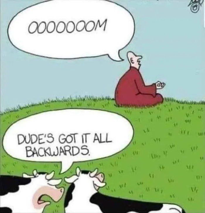 Mooooo - 9GAG