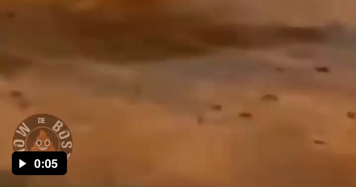 The show must continue - 9GAG