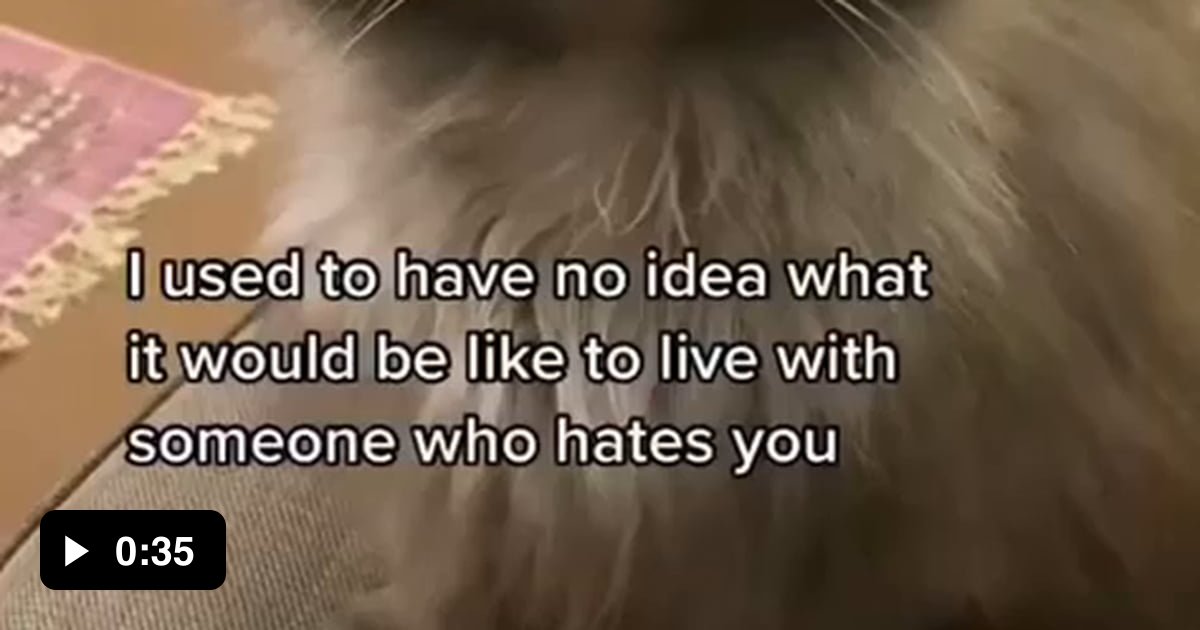 It’s So Fluffy!! - 9GAG