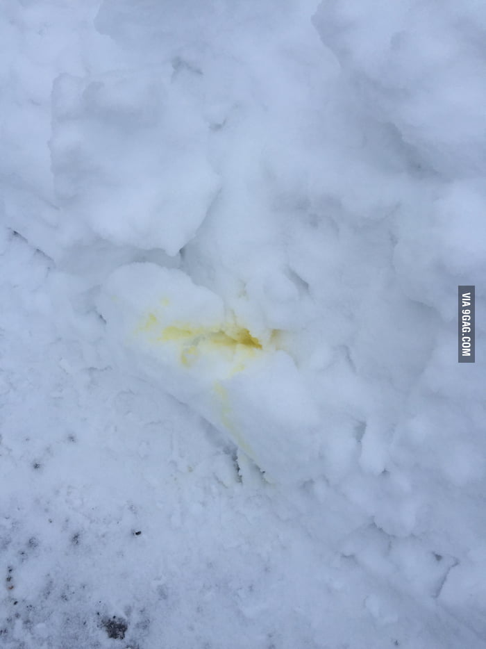 Eat yellow snow, it could be beer! - 9GAG
