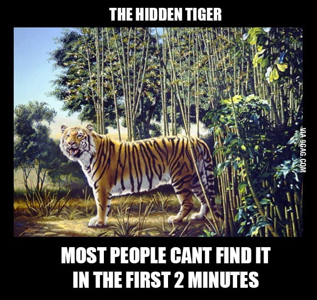 Can You Find The Hidden Tiger 9GAG can-you-find-the-hidden-tiger-9gag