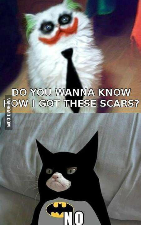 Why so serious Mr Bat....... - 9GAG